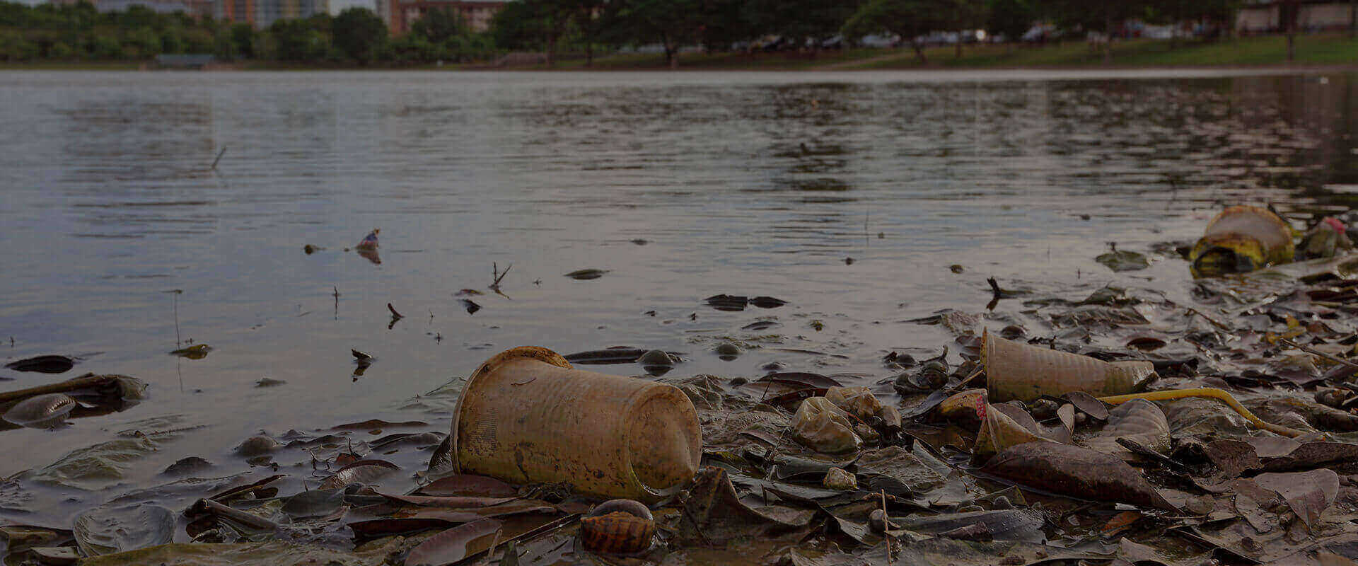 We Address the Most Pressing Environmental Concerns || GCAN